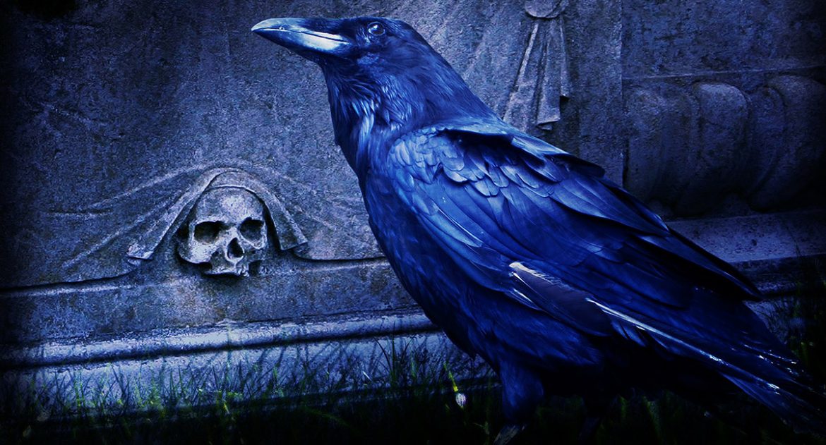 Los Beefeaters y los Cuervos. - Anglovision Tours